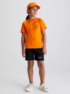 Organic Cotton V Neck T Shirt Calvin Klein® Ib0ib01470scb
